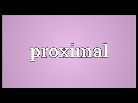 Proximal Meaning