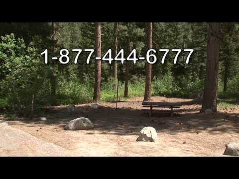 Bad Bear Campground in Idaho