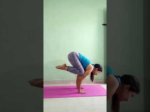 Bakasana for beginners | in hindi | Bakasana for beginners crow pose yoga arm balance | #shorts