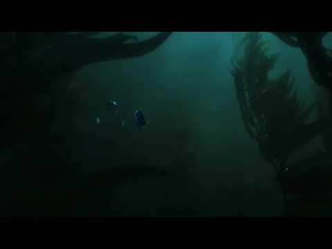 Toons Adventures of Finding Dory - All Alone/Dory founds her Parents ...