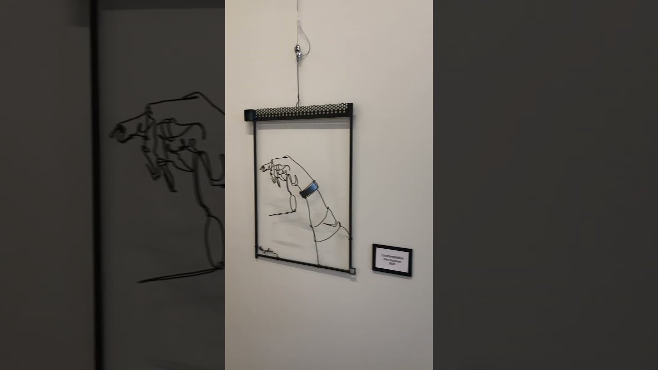 Wire Sculptures by Lisa Fedon / Kennett Library, Kennett Square, PA