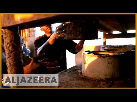 πΊπ¬ earthrise - Forest Friendly Fires: Tackling Deforestation in Uganda