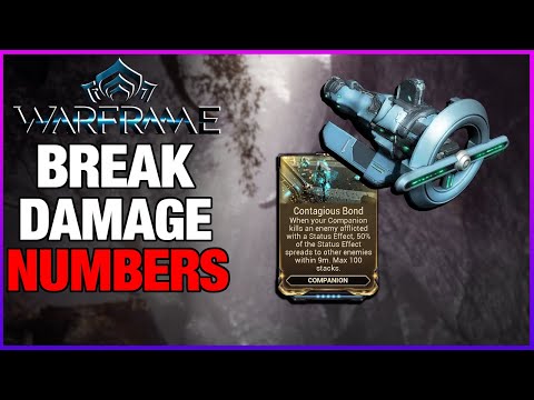 THE 40-QUADRILLION DAMAGE SETUP | Contagious Bond x Verglas 2025