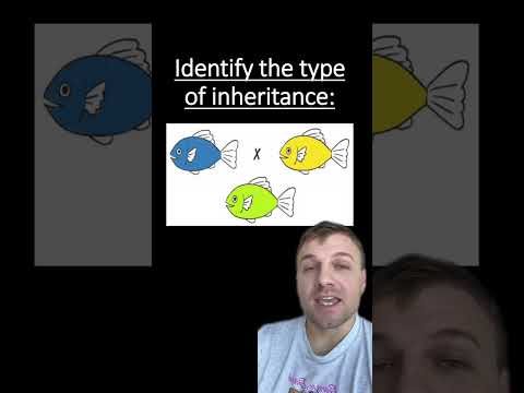 Complete vs. incomplete vs. Codominance