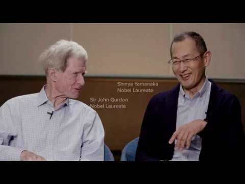 About the ISSCR Annual Meeting