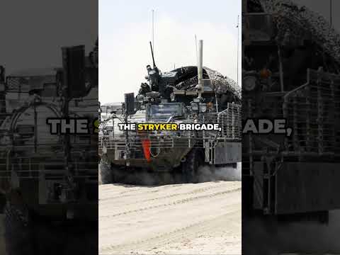 Stryker Brigade & Aviation Battalion Deployed to Southern Border