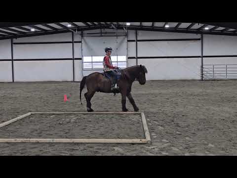 Trinity Trail Events Novice December 2024. Renee Melton-Smith and Gambri Fra Grafarkoti.