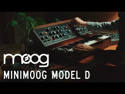 Moog Minimoog Model D Analog Synthesizer | Reverb