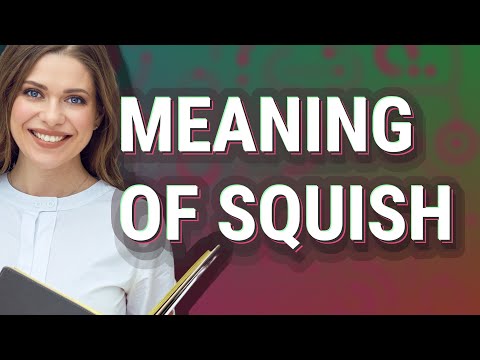 Squish | meaning of Squish