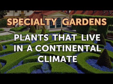 Plants That Live in a Continental Climate
