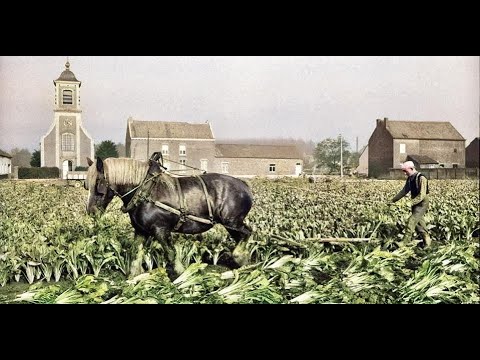Oude foto's van Veltem-Beisem ingekleurd. (4K)