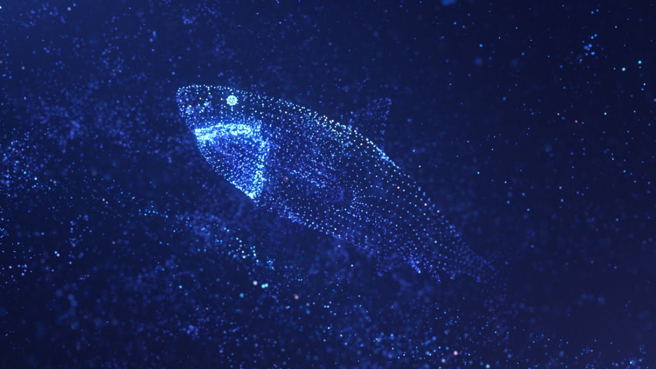 Trapcode Form - Particle life