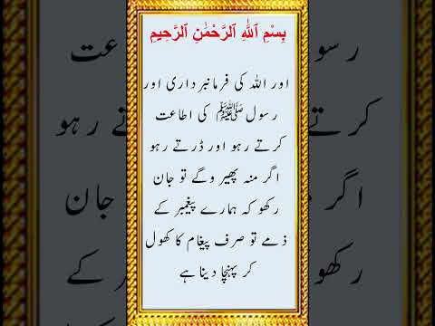 Quran Quotes | Collections Of Quranic Quotes in Urdu | Quran Verses Urdu Translation | #shorts