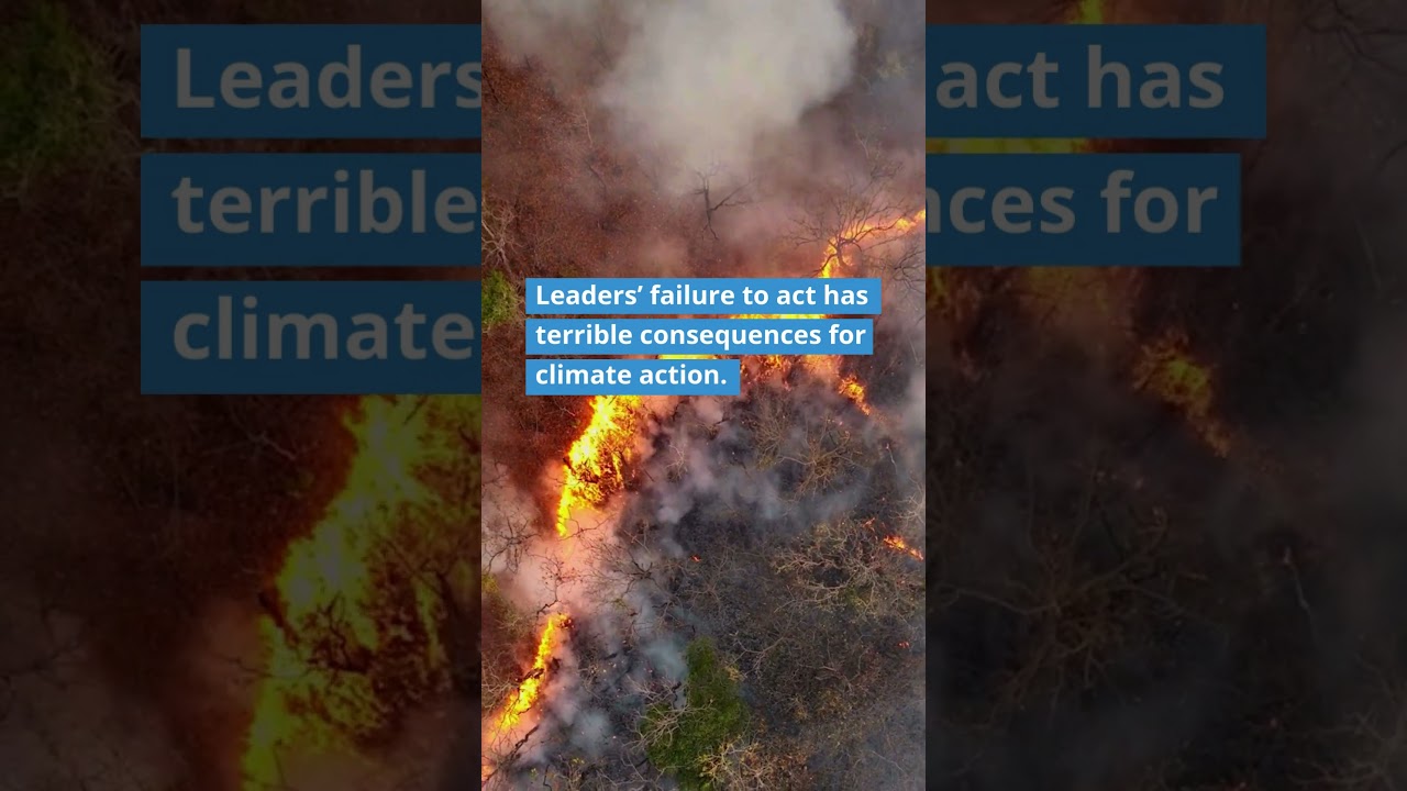 Corruption Perceptions Index 2024 | Transparency International