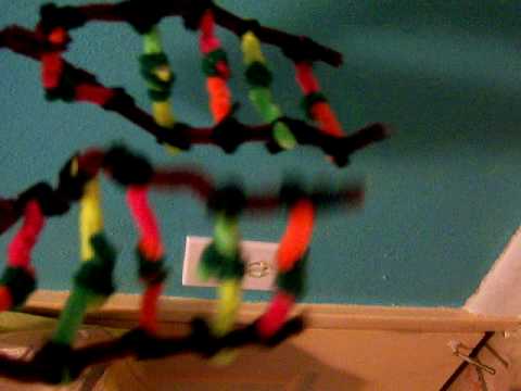 dna ladder for justin