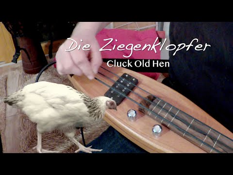 Cluck Old Hen . Die Ziegenklopfer At The Dulcimershop - Martin Oesterle ...