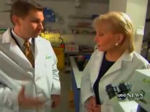 *Resveratol Benefits* What Is Resveratrol?