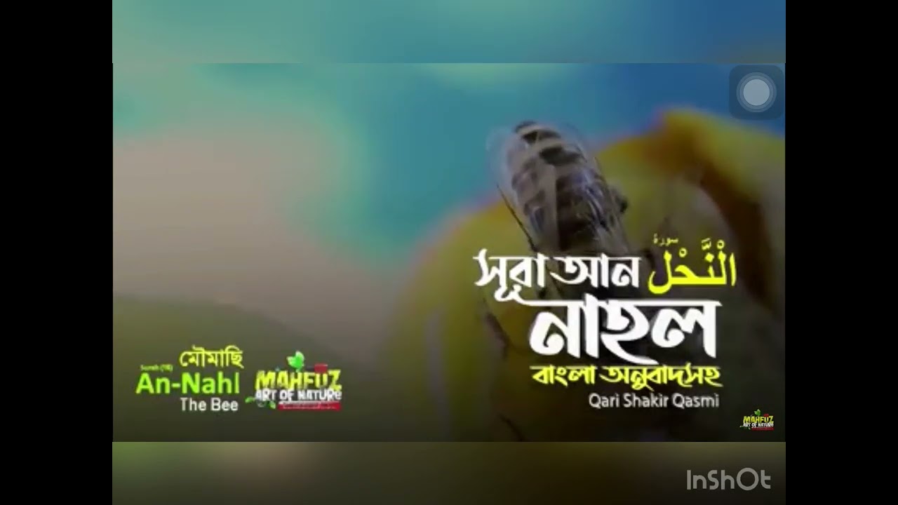 স র আন ন হল আয ত 36 surah An Nahol Aiat