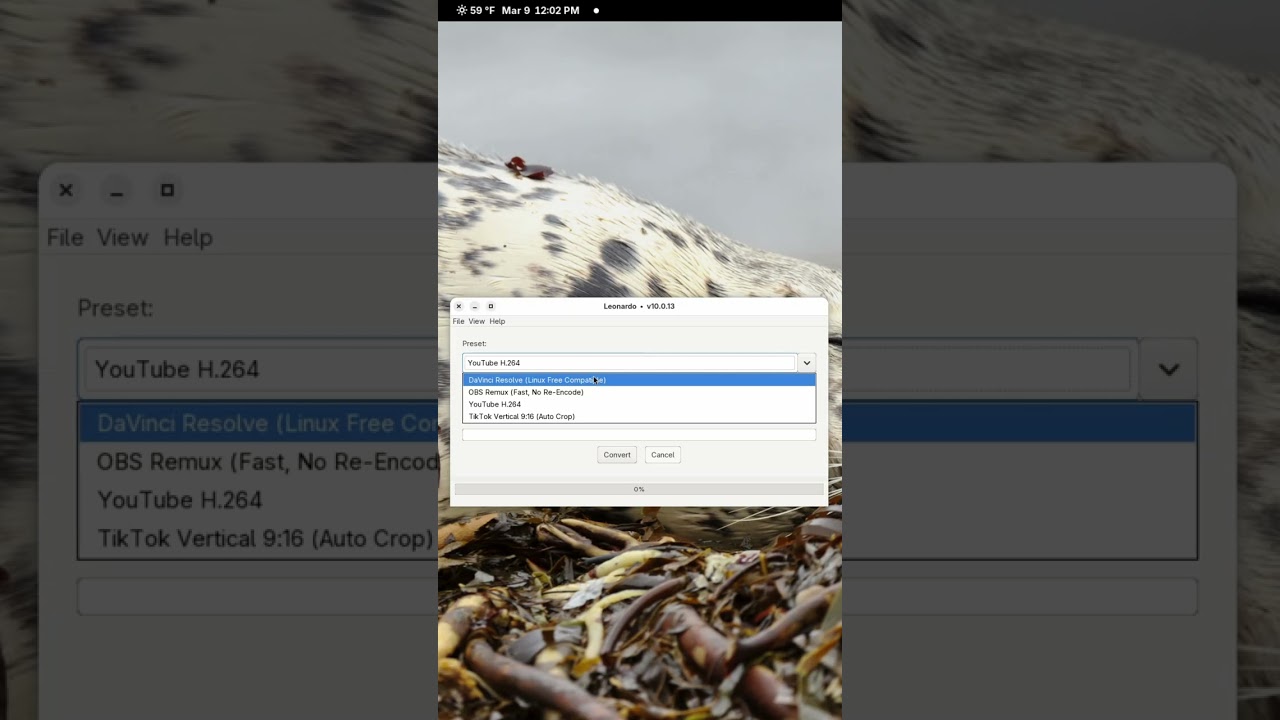 When StackOverflow FFmpeg Commands Don’t Work