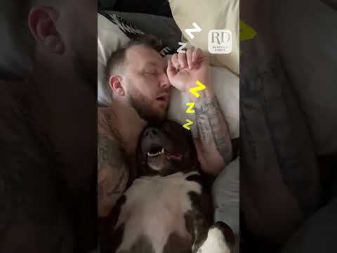 Wife Catches Husband and Dog Snoring Together