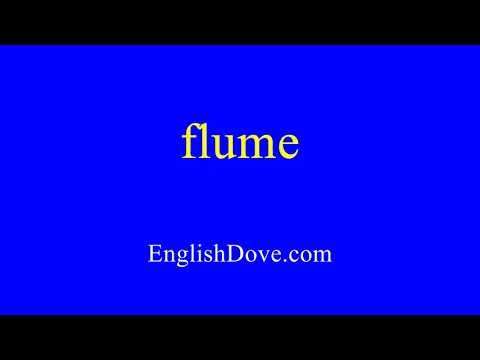 How to pronounce flume in American English