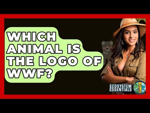 Which Animal Is The Logo Of WWF? - Ecosystem Essentials