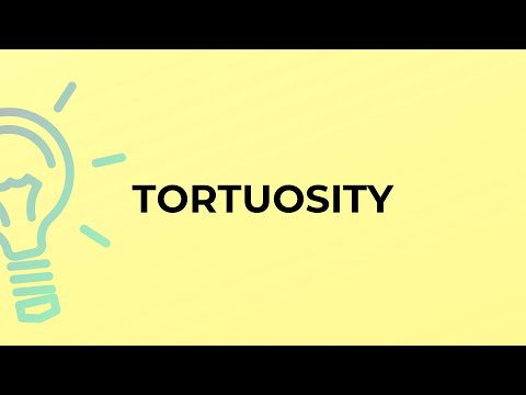 What is the meaning of the word TORTUOSITY?
