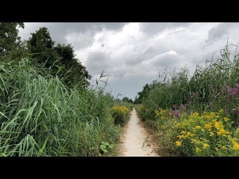 Polder Path – 1-memo•com