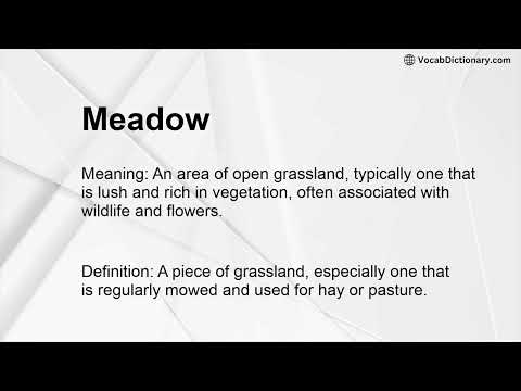 Meadow Meaning