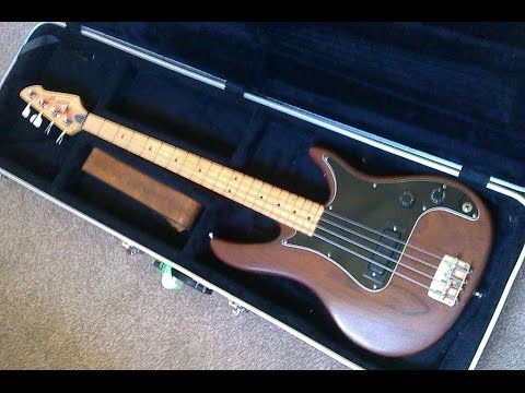 Peavey Patriot Bass - Artists Using It | Equipboard