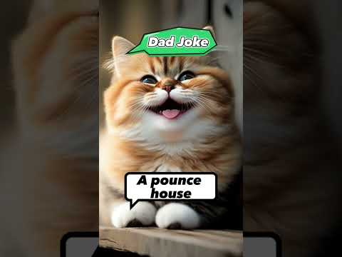 Funny Cat Joke - Funny Dad Joke - Try Not to Laugh Hilarious Joke - Like, Comment & Subscribe