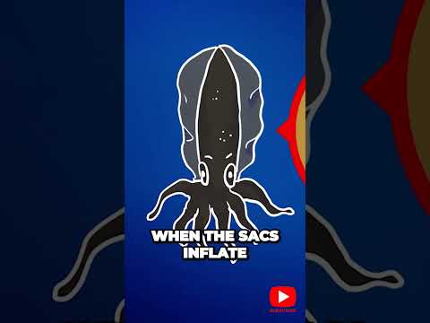 Fun Fact: Masters of Invisibility: Unveiling the Camouflaging Powers of Cephalopods