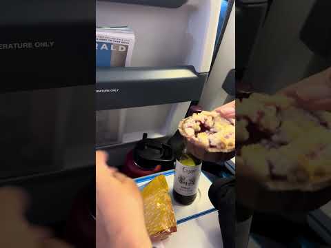 KLM Airlines Amsterdam to LAX meal dessert #food #klmroyaldutchairlines #klm #travelshorts #foodvlog