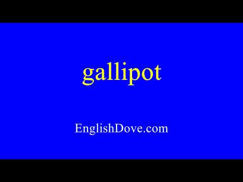 How to pronounce gallipot in American English