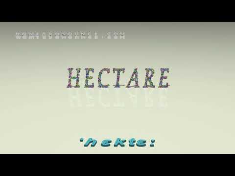 hectare - pronunciation
