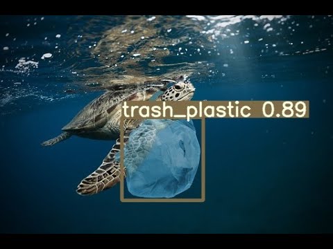 A Novel Approach Towards Detecting Marine Plastic Using Deep Visual Models