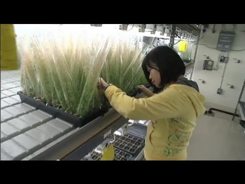Center for Plant Cell Biology (CEPCEB) at UC Riverside