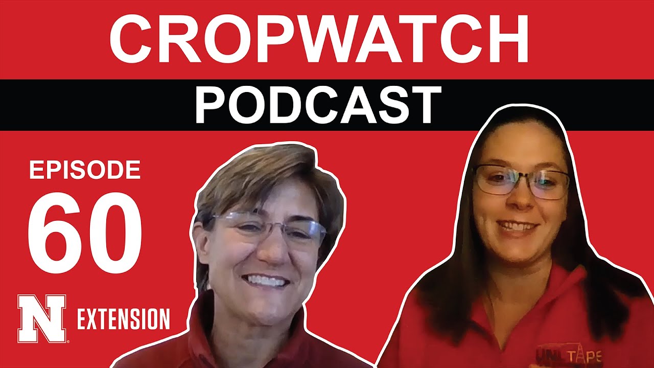 Nebraska CropWatch Podcast Episode 60 | Interview with TAPS Sorghum Triple Crown Winner Tracy Zink