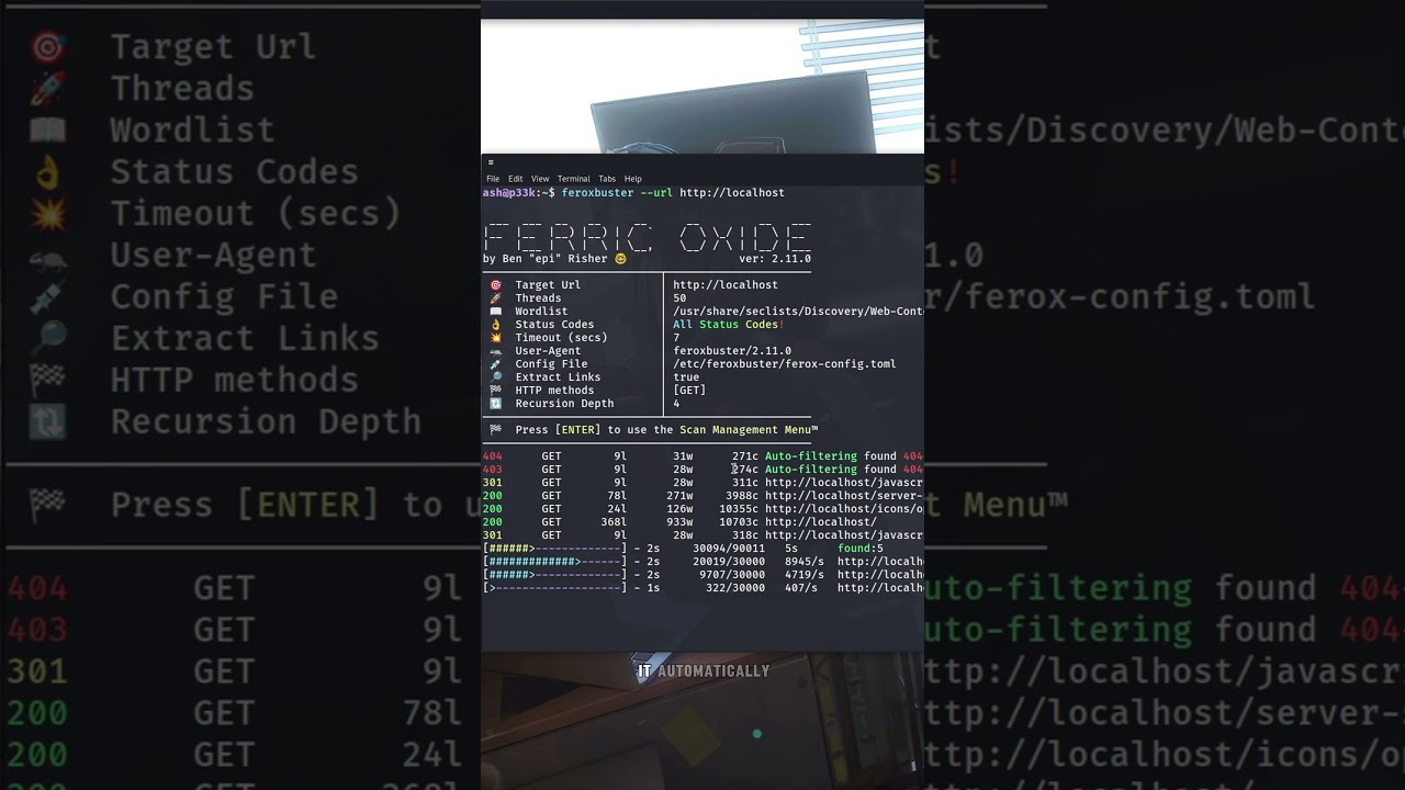 Fast Directory BruteForcing Tool! #feroxbuster