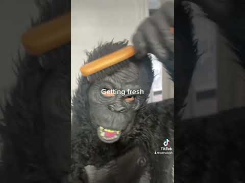 Gorilla rizz