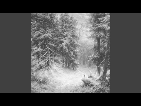Winter's Spell