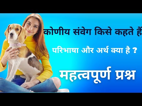 कोणीय संवेग किसे कहते हैं , सूत्र , उदाहरण क्या है परिभाषा angular momentum in hindi formula meaning