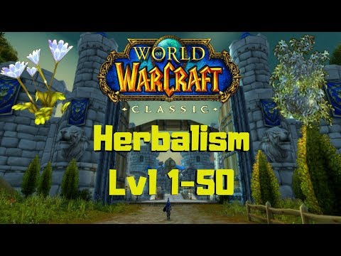 Classic Wow Herbalism Guide for Beginners