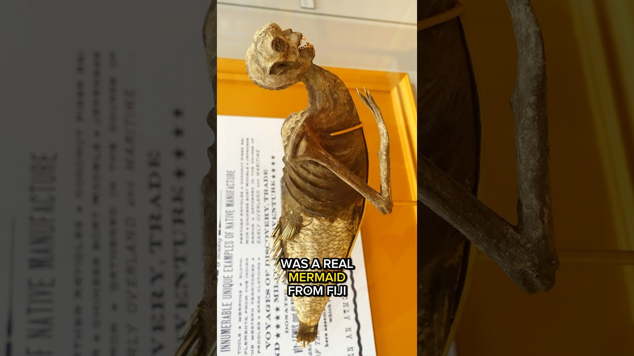 Fiji Mermaid Scam