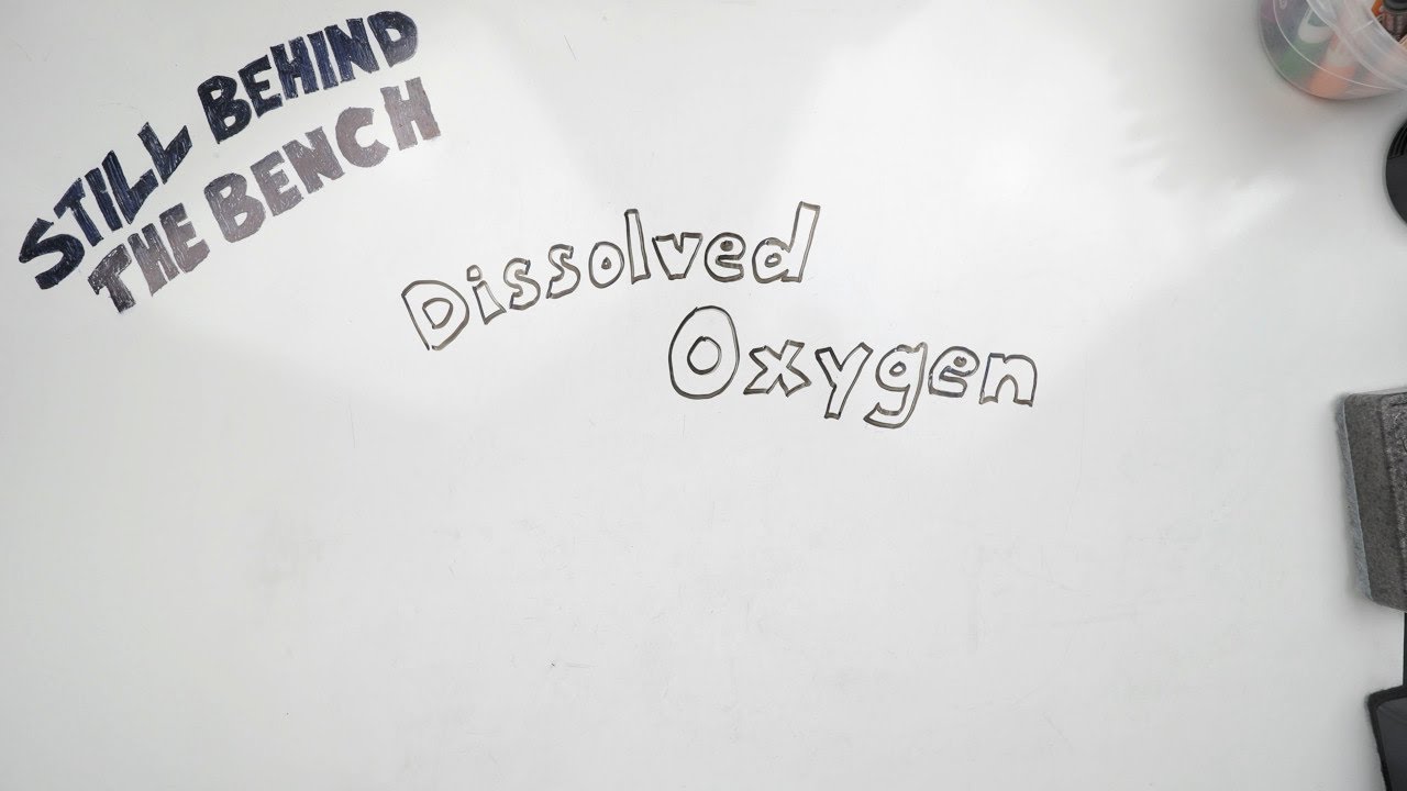 Ep 040 - Dissolved Oxygen