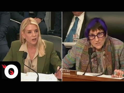 WATCH: Pam Bondi, House Democrat SPAR Over ATF Agent Numbers