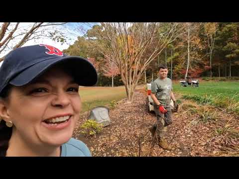 Fun at Creekside| Bobcat goes down | Gardening with Creekside
