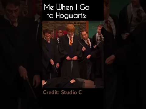 AVADA KEDAVRA#harrypotter #harrypotterfunny #comedy #potterhead #hogwarts #ronweasley
