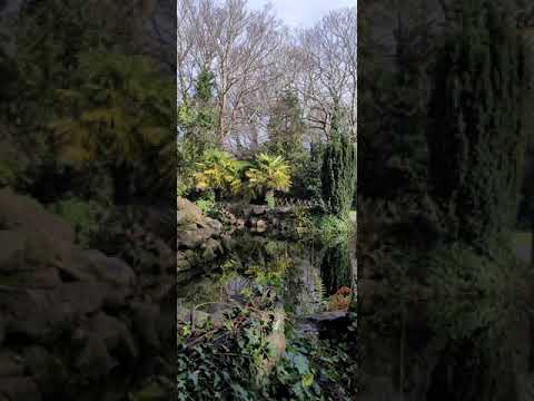 Iveagh Garden