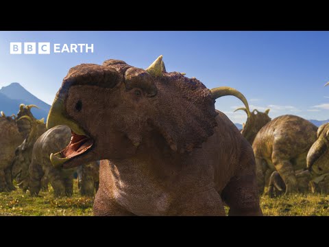 Pachyrhinosaurus: The Hornless Relative of Triceratops | Walking with Dinosaurs | BBC Earth Science